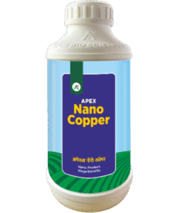 Nano Fertilizers